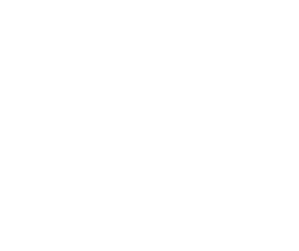 About Us - Bayport International Holdings Inc.